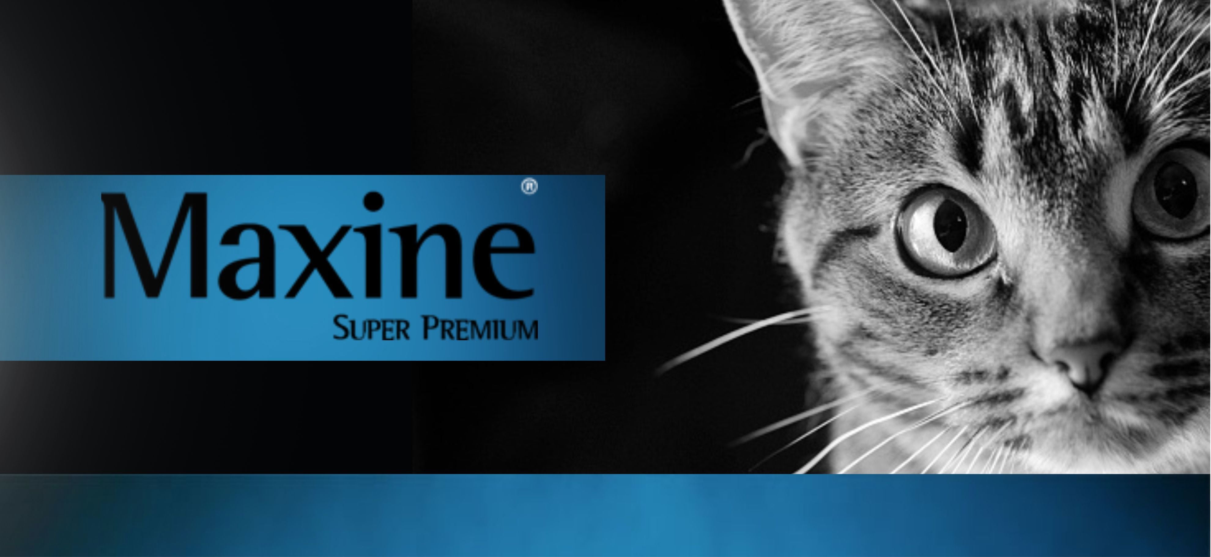 Maxine Cat – petslife.cl